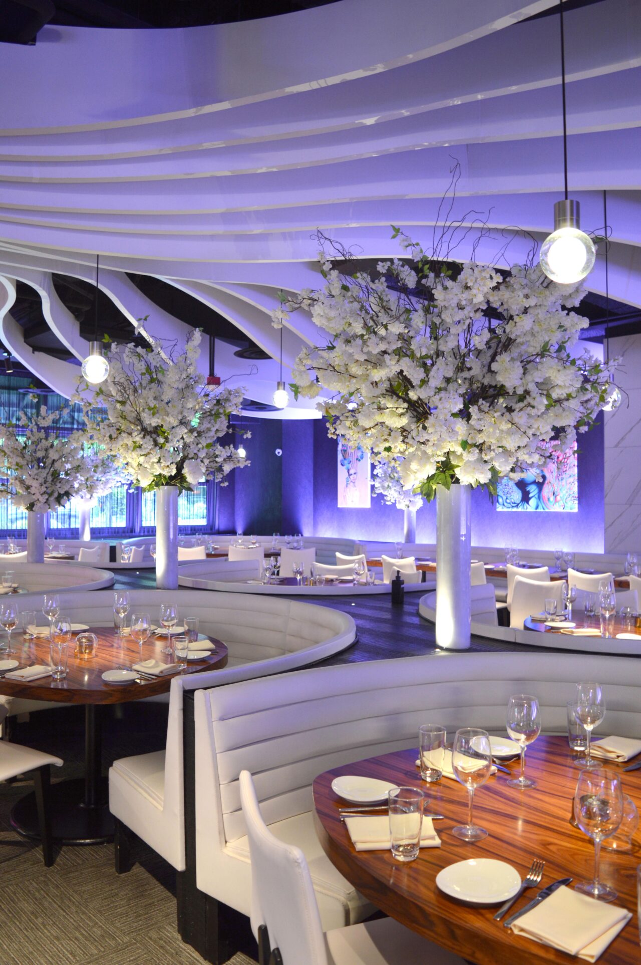 Aerial - Creative Palette